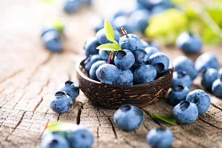 Useful properties of blueberries for the human body – marianochka
